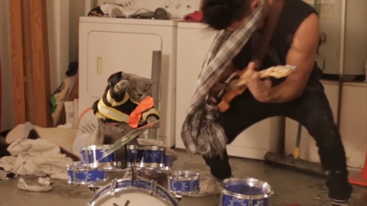 La mia banda suona il rock